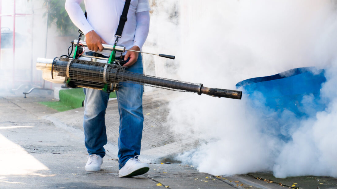 How Much Does Fumigation Cost? (2025 Guide)