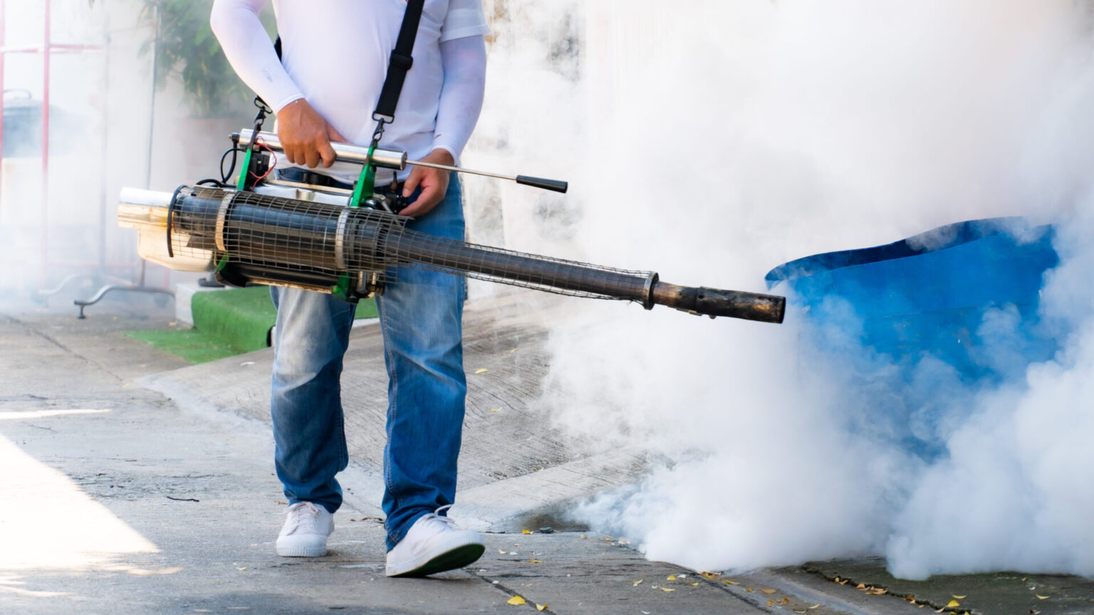 How Much Does Fumigation Cost? (2025 Guide)