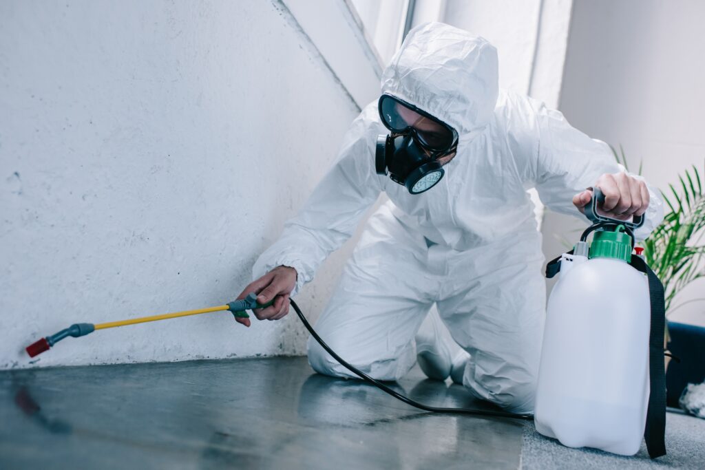 Kilter Termite and Pest Control Review