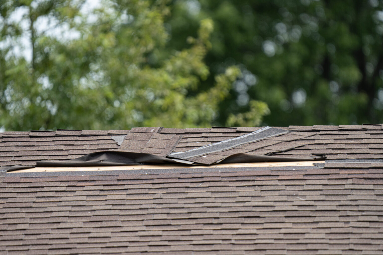 Roofing Replacement Cost Calculator: Your Complete Guide to ...