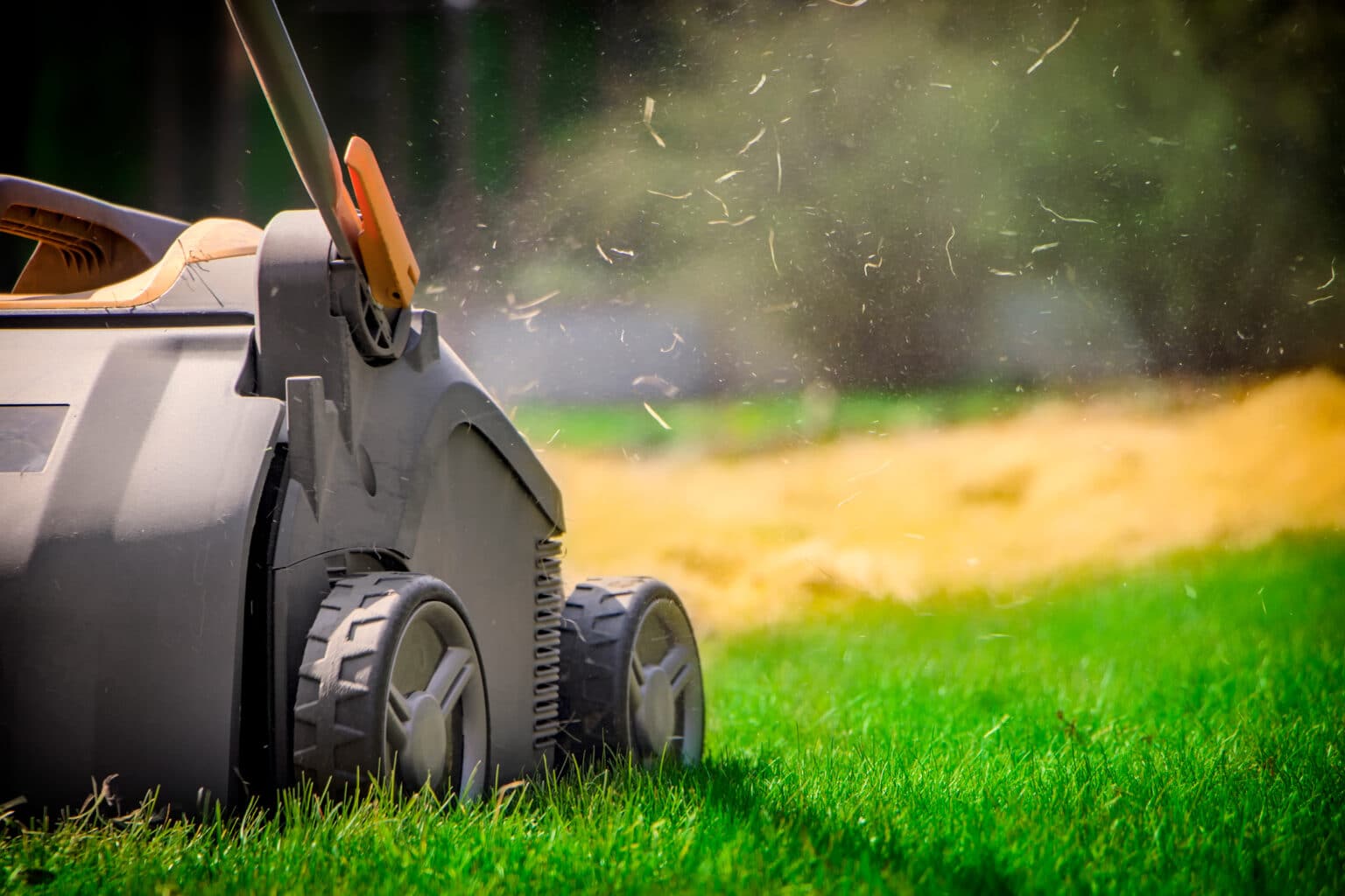 Yard Grading 101: Everything you need to know