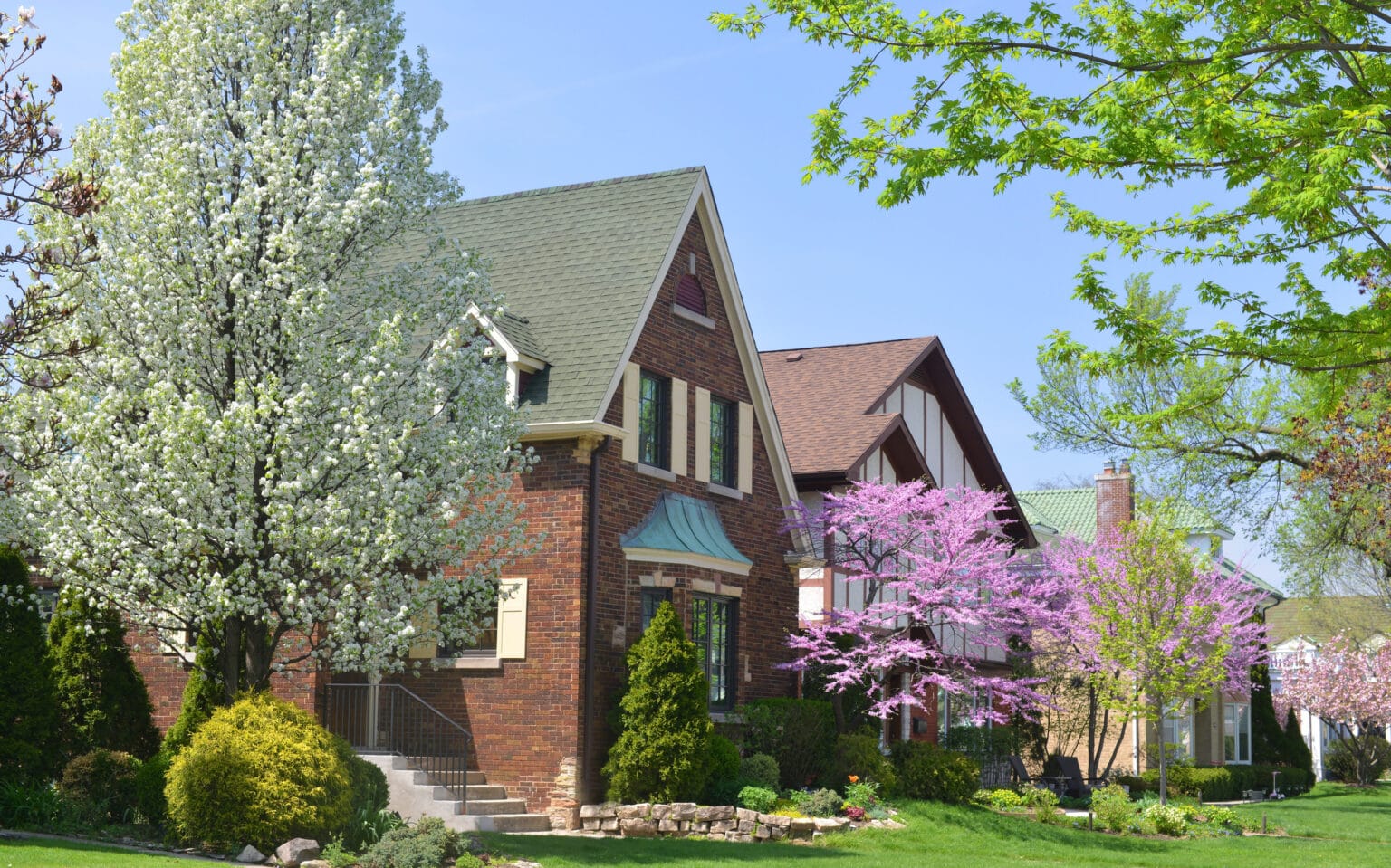 Constellation Home Review (2025)