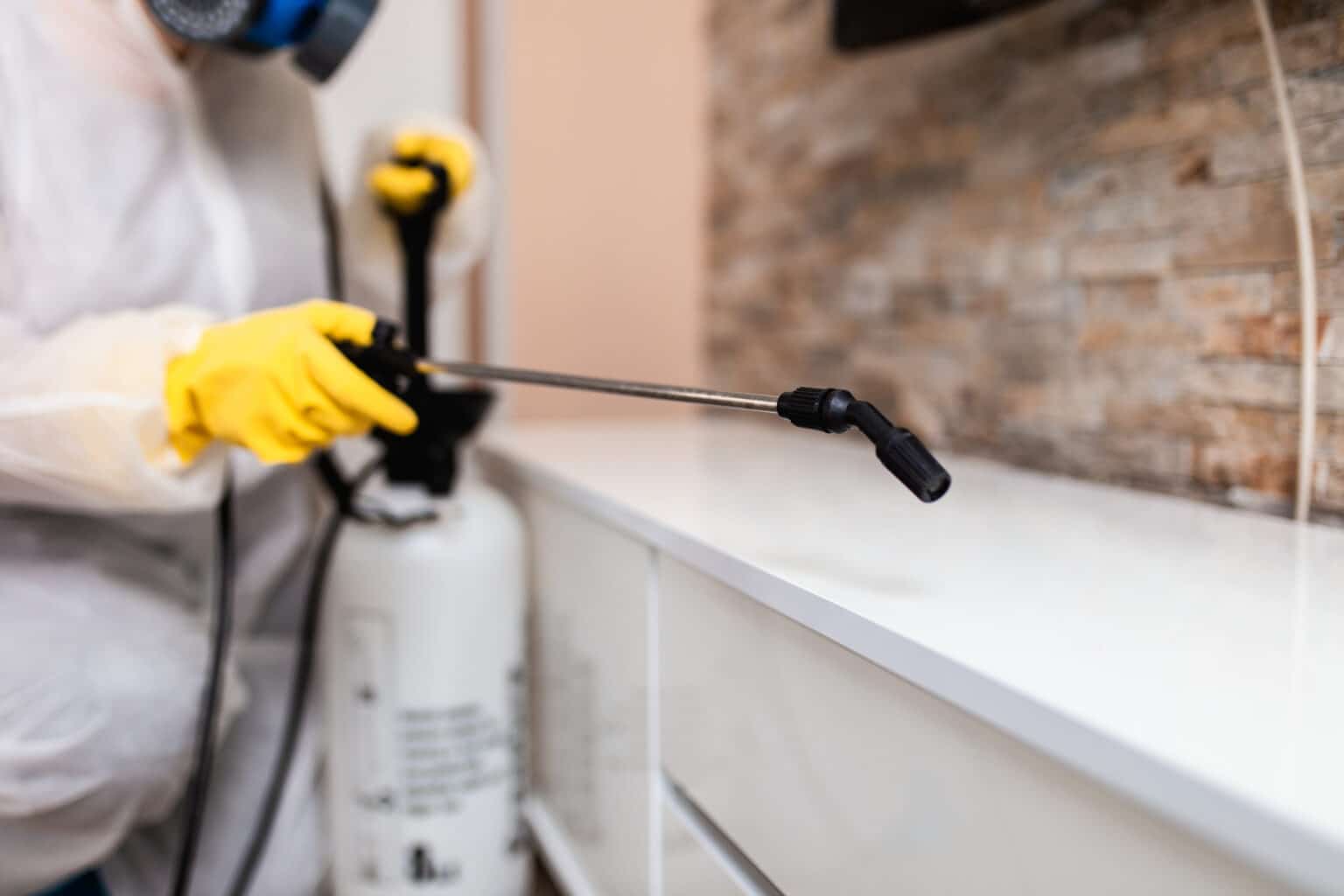 Edge Pest Control Review
