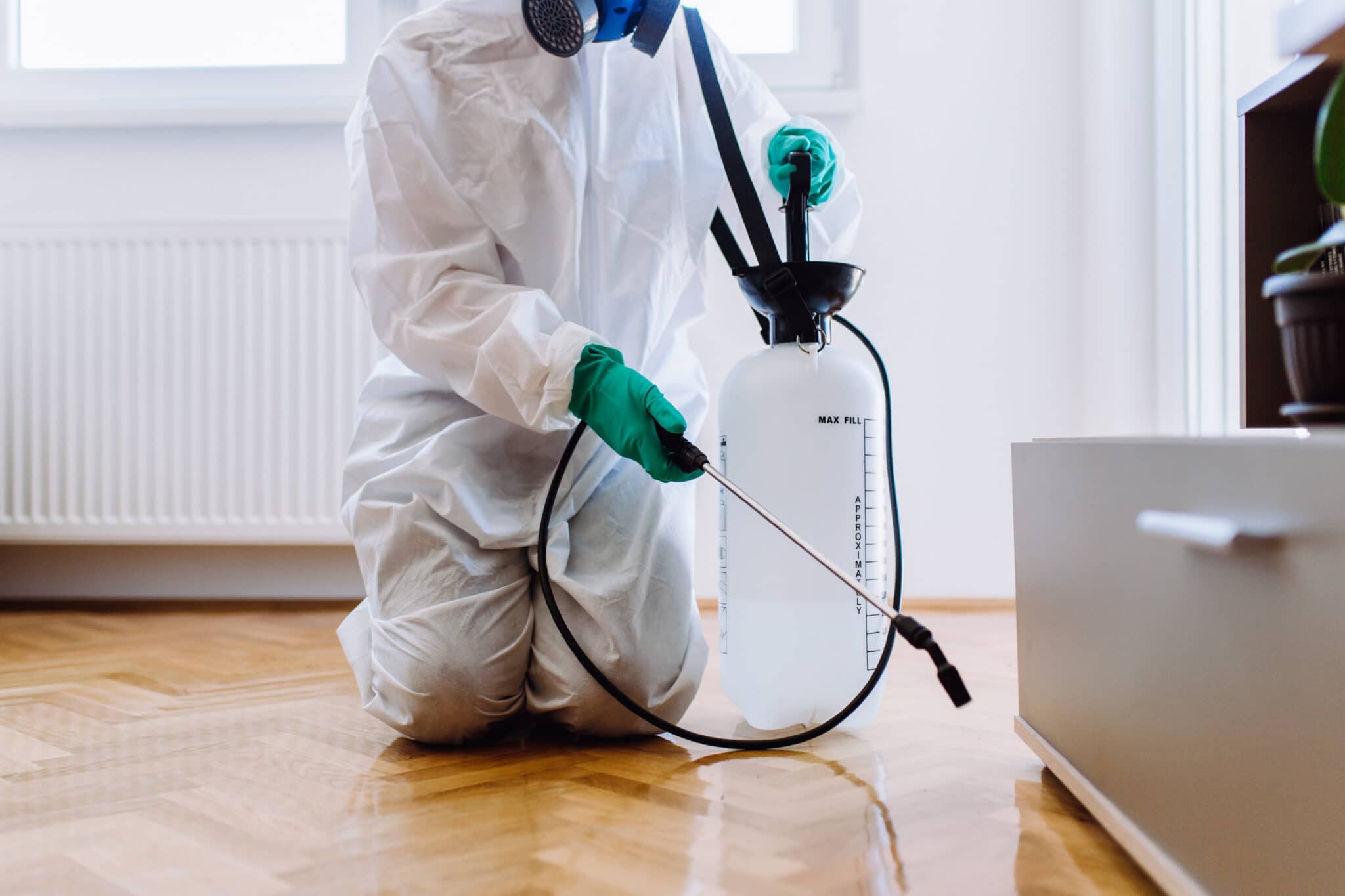 How Much Does Pest Control Cost?