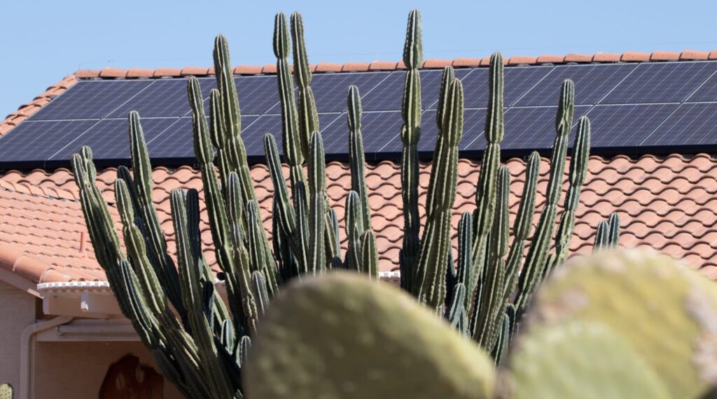 The Best Solar Companies in Arizona (2024 Guide)
