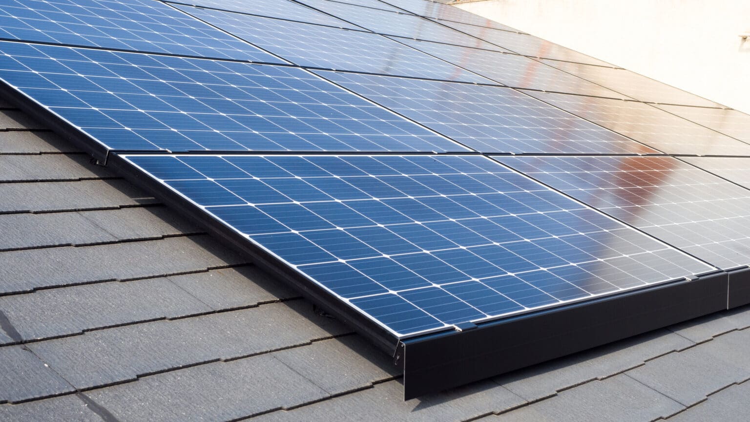 Sun Tribe Solar Reviews (2025 Guide)