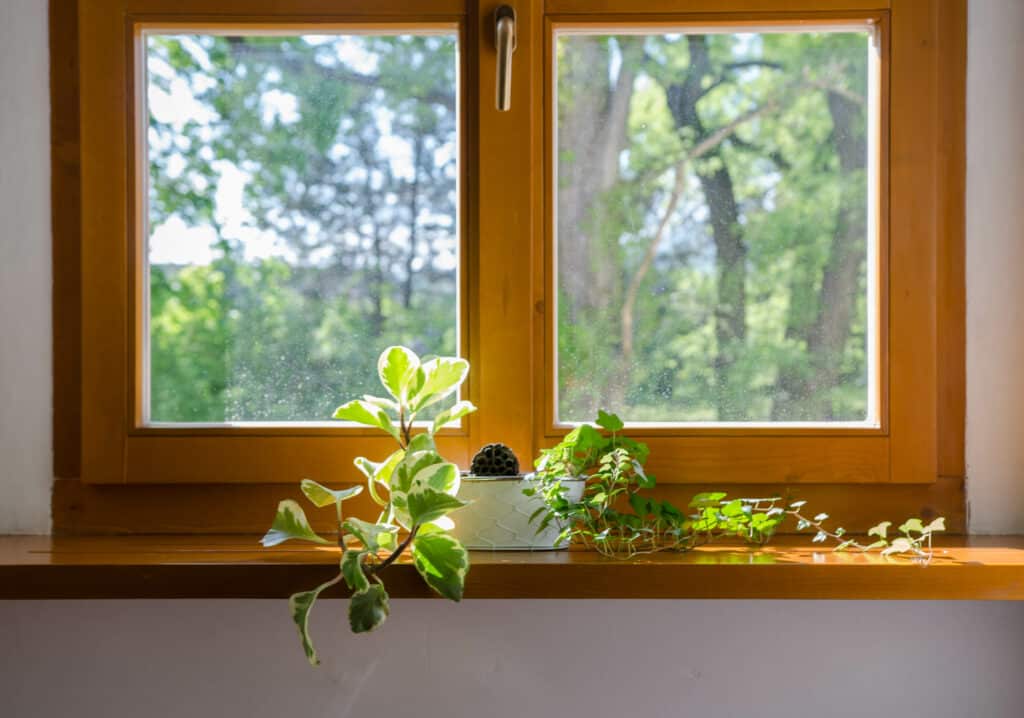 10 Most Common Types of Windows