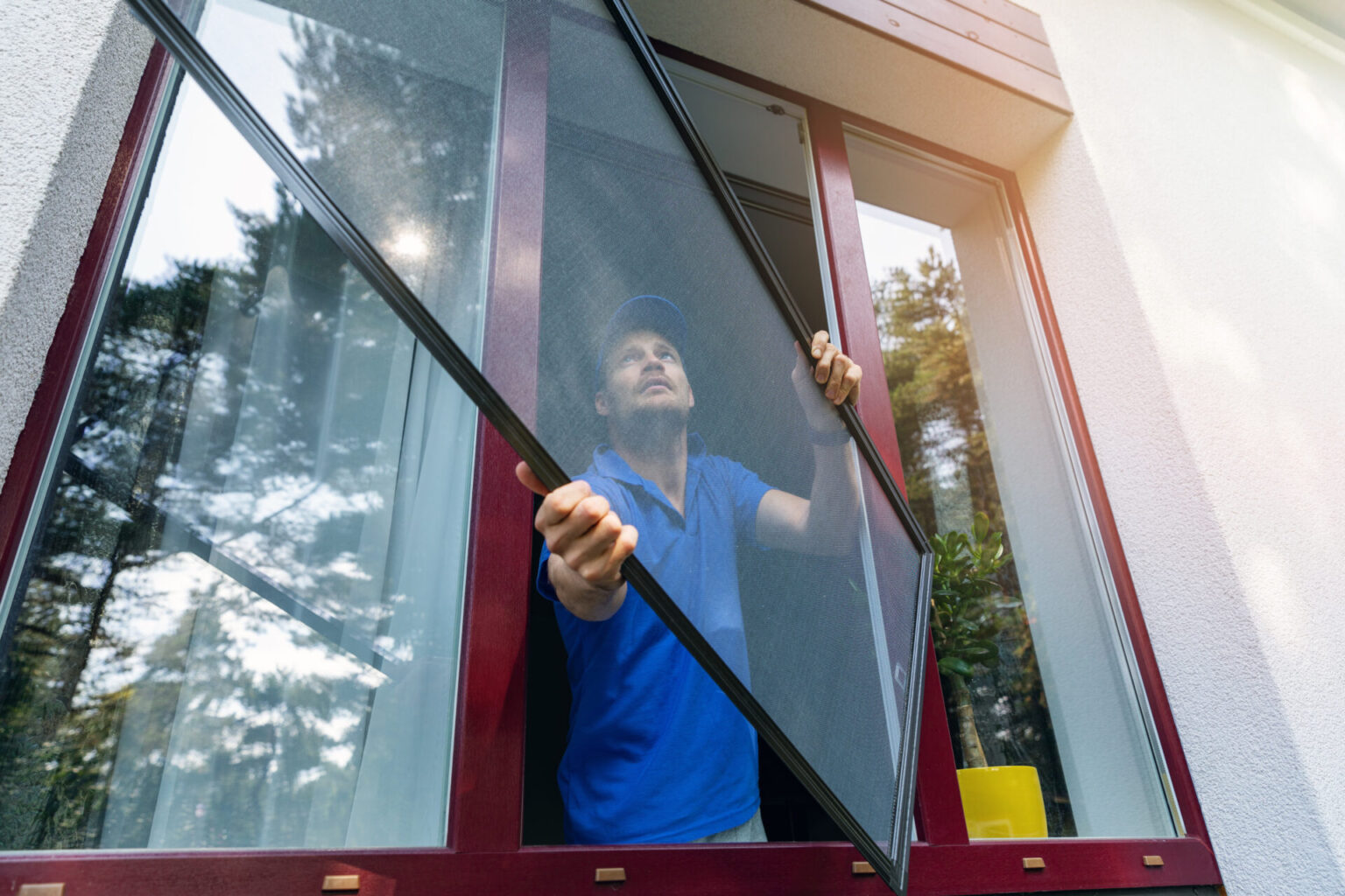 Window Screen Replacement Cost | Expert Reviewed