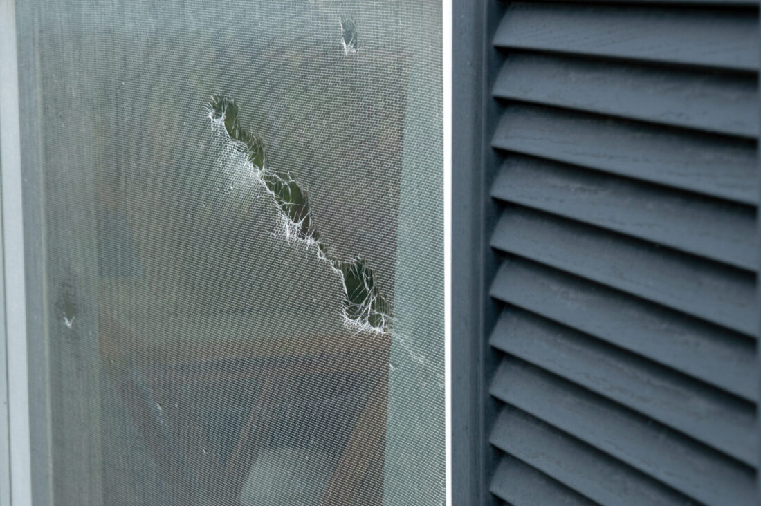 Window Screen Replacement Cost | Expert Reviewed