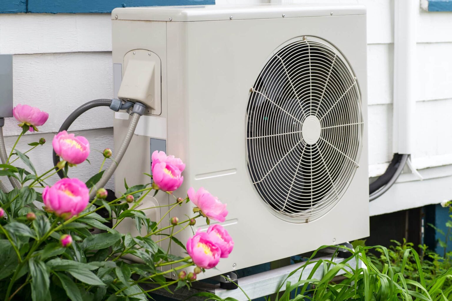 ARS Rescue Rooter Review (2025)