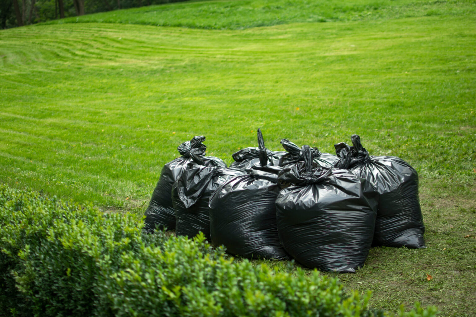 5 Best Junk Removal Companies (2026)