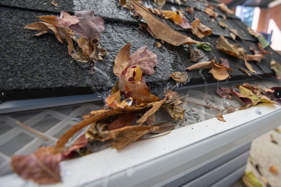 Leaf Solution vs. Leaf Filter (2026)
