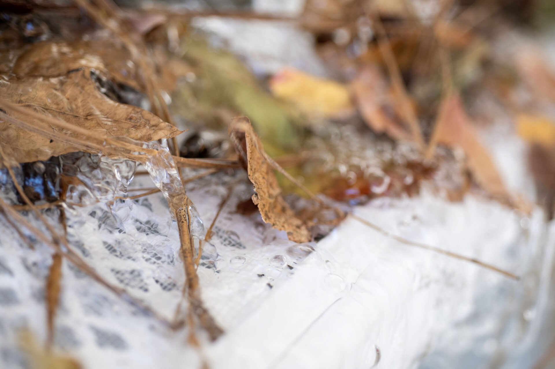 Gutter Guards Review Methodology