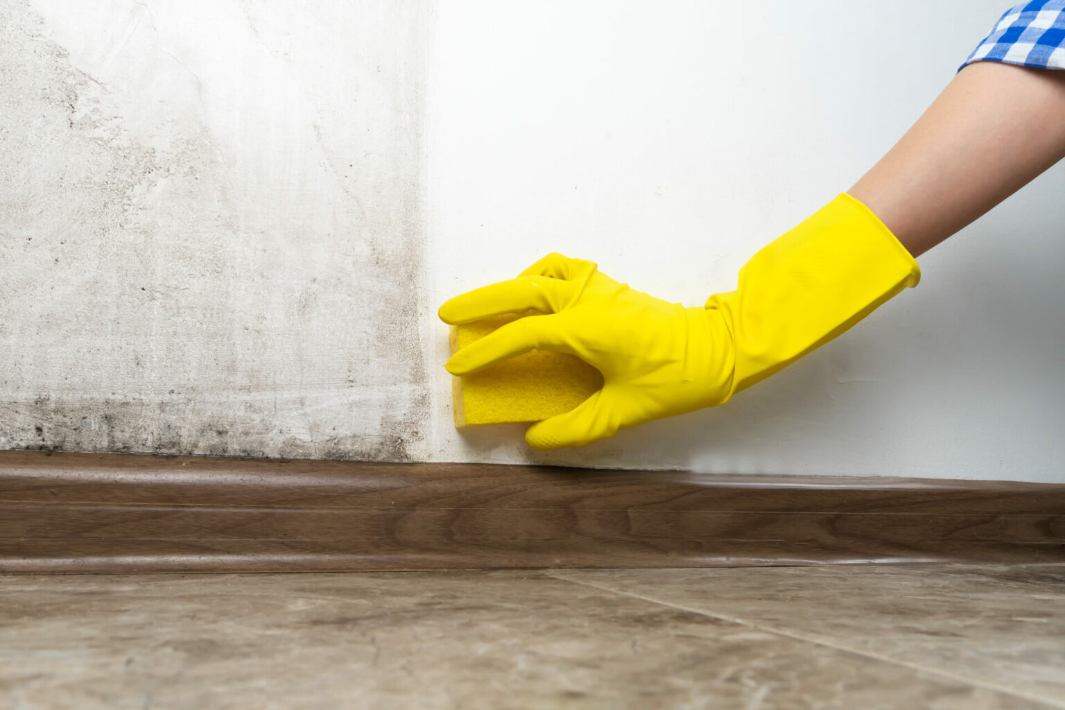 How Much Does Mold Remediation Cost? (2025 Guide)