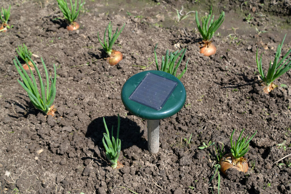Do Ultrasonic Pest Repellers Work?