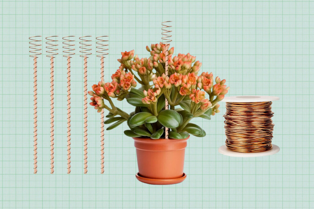 What Is Electroculture Gardening?