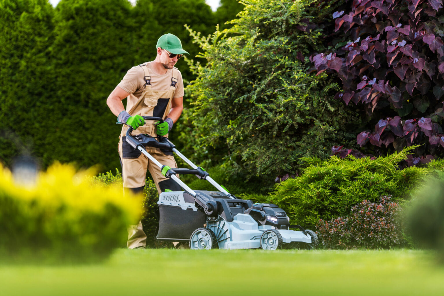 Cheap Lawn Care Services for Seniors