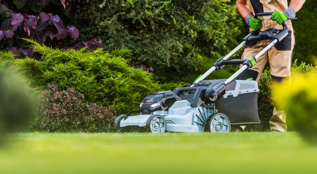Cheap Lawn Care Services for Seniors