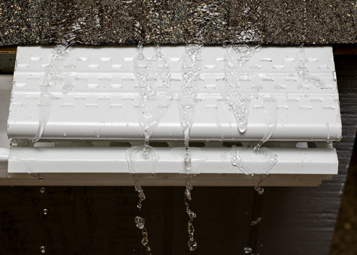 LeafFilter vs. Gutter Helmet (2025)