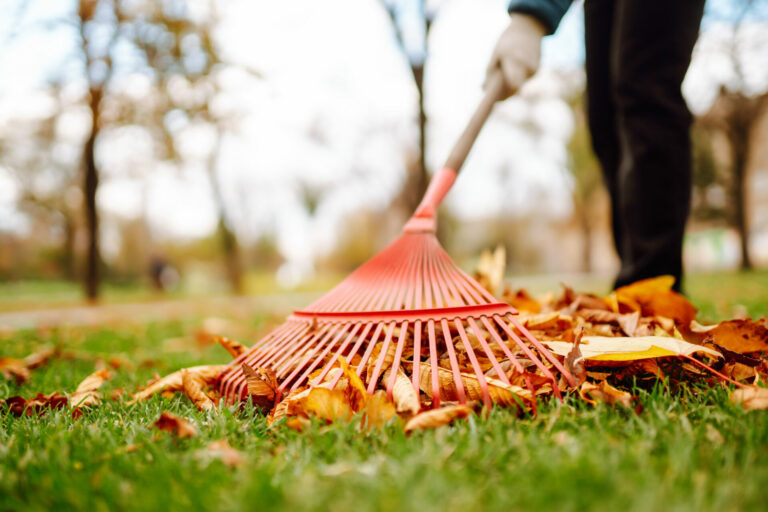 How To Rake Leaves
