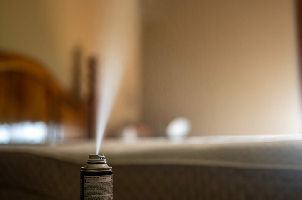 How To Get Rid of Bed Bugs