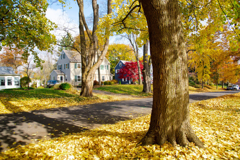 What Are the Best Cities for Families?