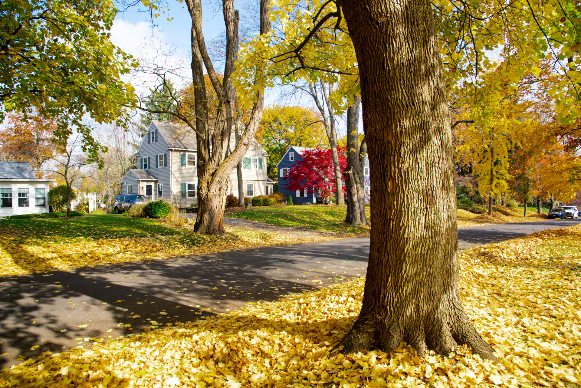 What Are the Best Cities for Families?