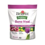 The 5 Best Fertilizers (2026 Review)