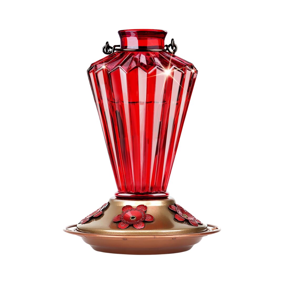 Best Hummingbird Feeders (2026 Guide)