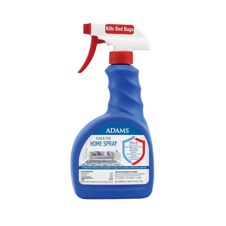 Our 5 Best Flea Spray Picks (2026)