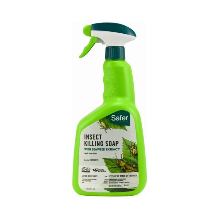 5 Best Insecticidal Soaps (2026)
