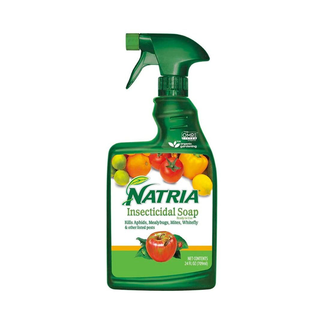 5 Best Insecticidal Soaps (2025)