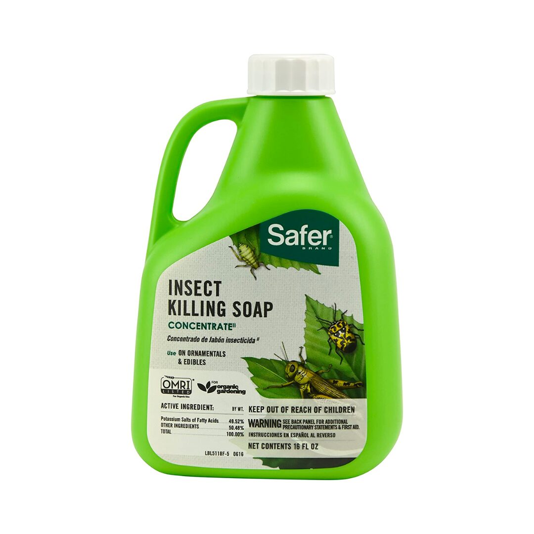 5 Best Insecticidal Soaps (2026)