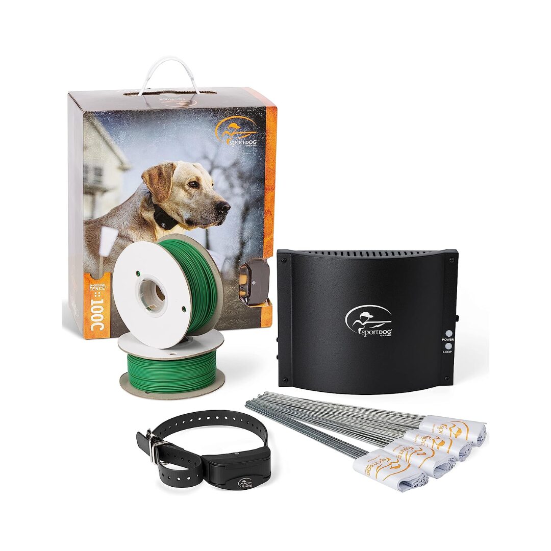 7 Best Invisible Fences 2025