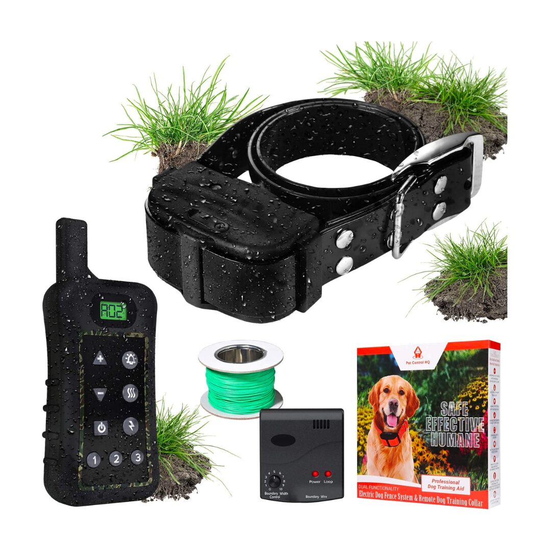 7 Best Invisible Fences 2025