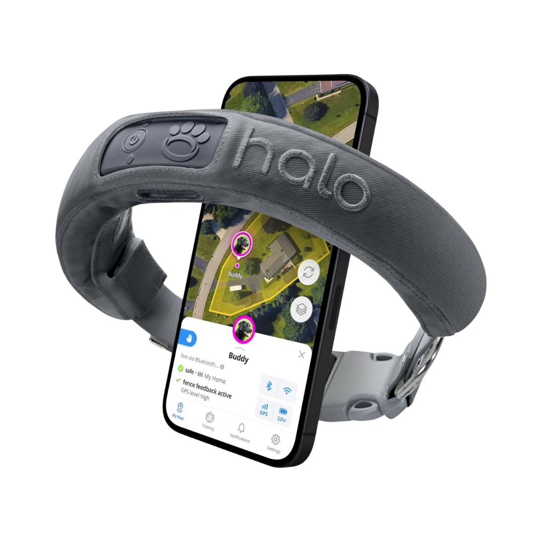 7 Best Invisible Fences 2025