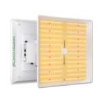 The 5 Best Grow Lights (2026 Review)