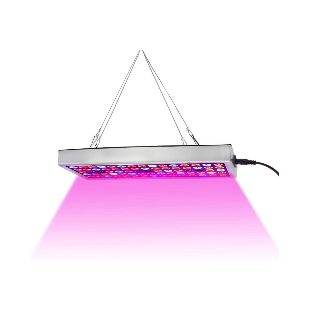 Best LED Grow Lights (2026 Guide)