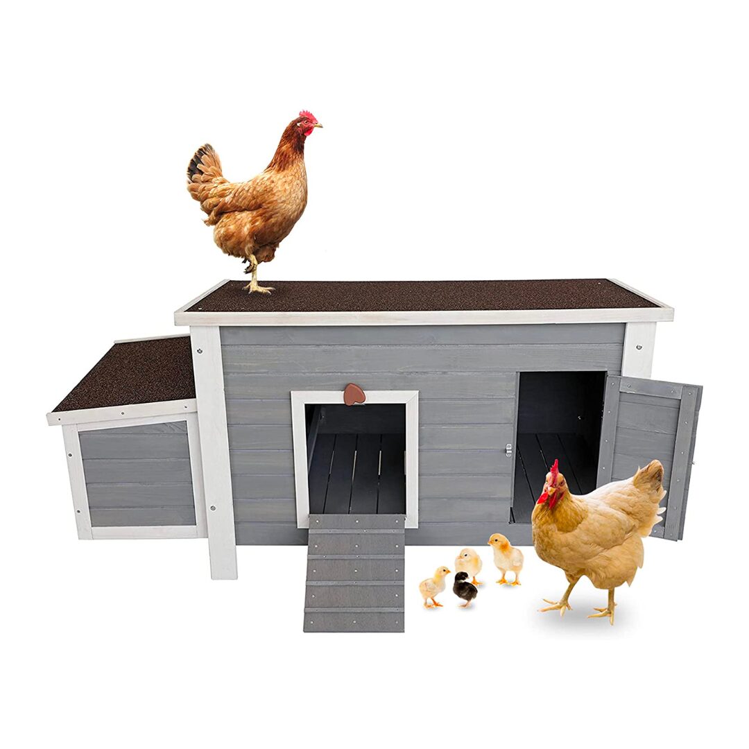 Our 7 Best Chicken Coop Picks (2025)