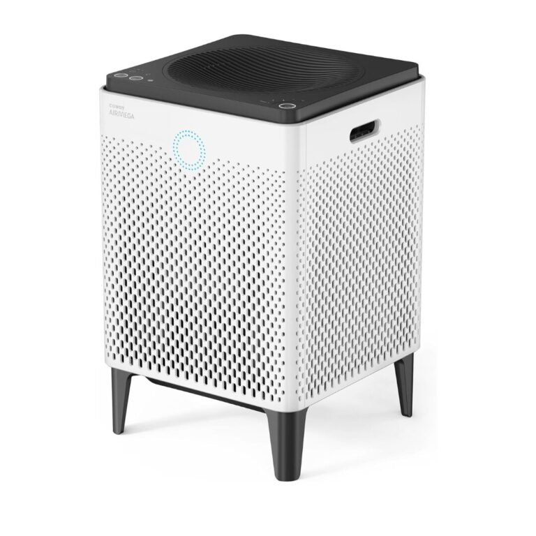 The 5 Best Air Purifiers