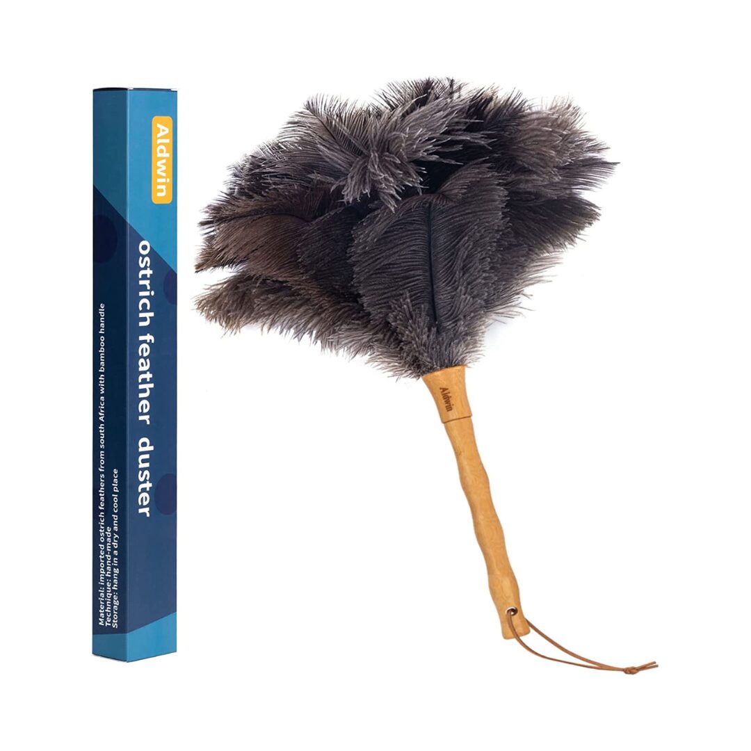 The 5 Best Dusters (2025 Review)