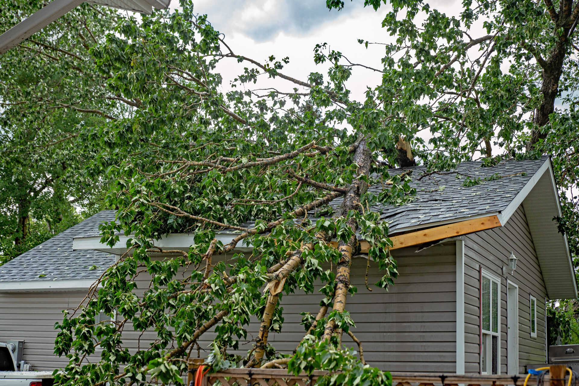 Wind Damage Statistics 2026