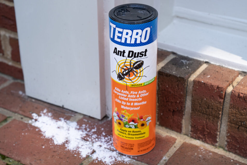 Best Ant Killers (2026)