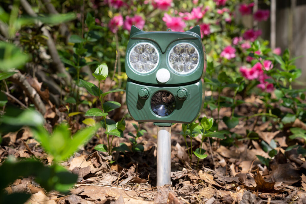 5 Best Deer Repellents (2026)