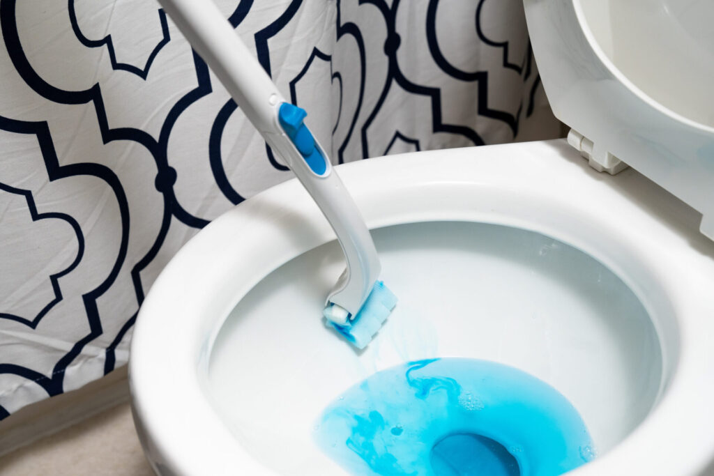 The 5 Best Toilet Bowl Cleaners (2025)