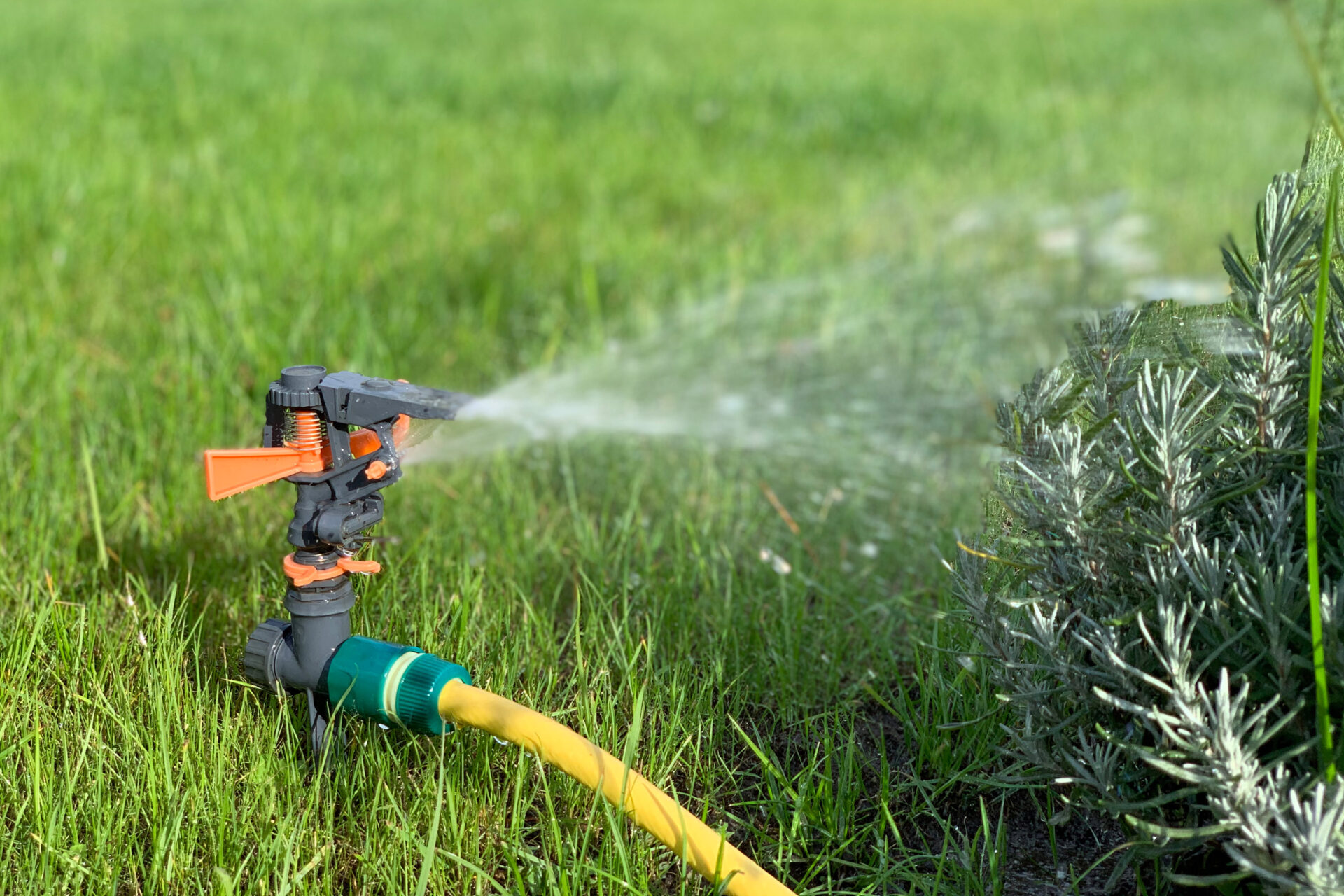 Best Sprinklers