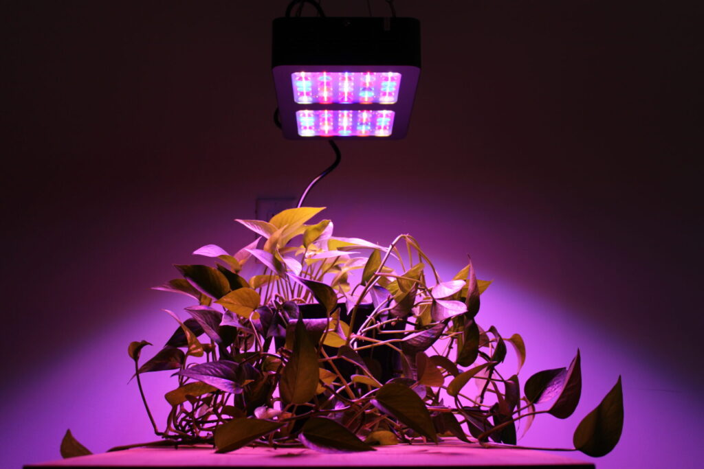 Best LED Grow Lights (2026 Guide)
