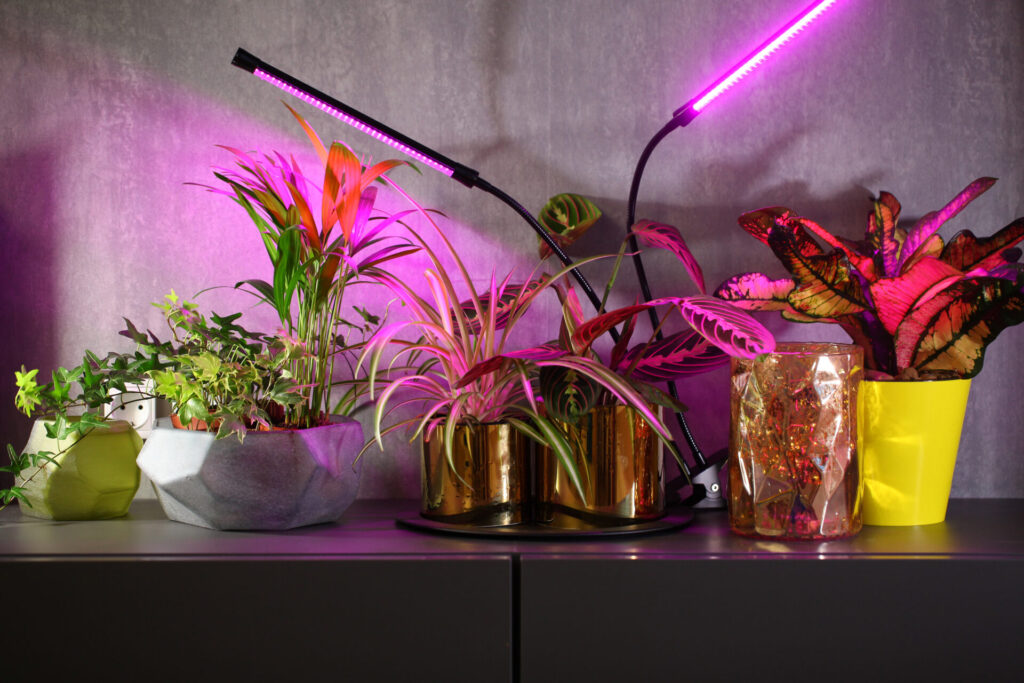 The 5 Best Grow Lights (2026 Review)