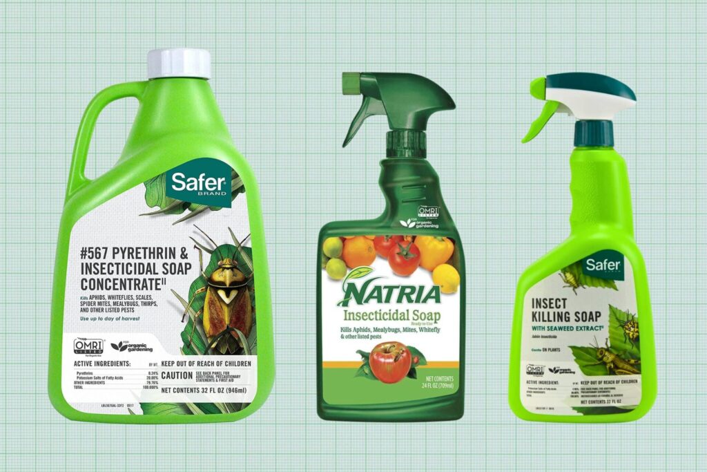 5 Best Insecticidal Soaps (2025)