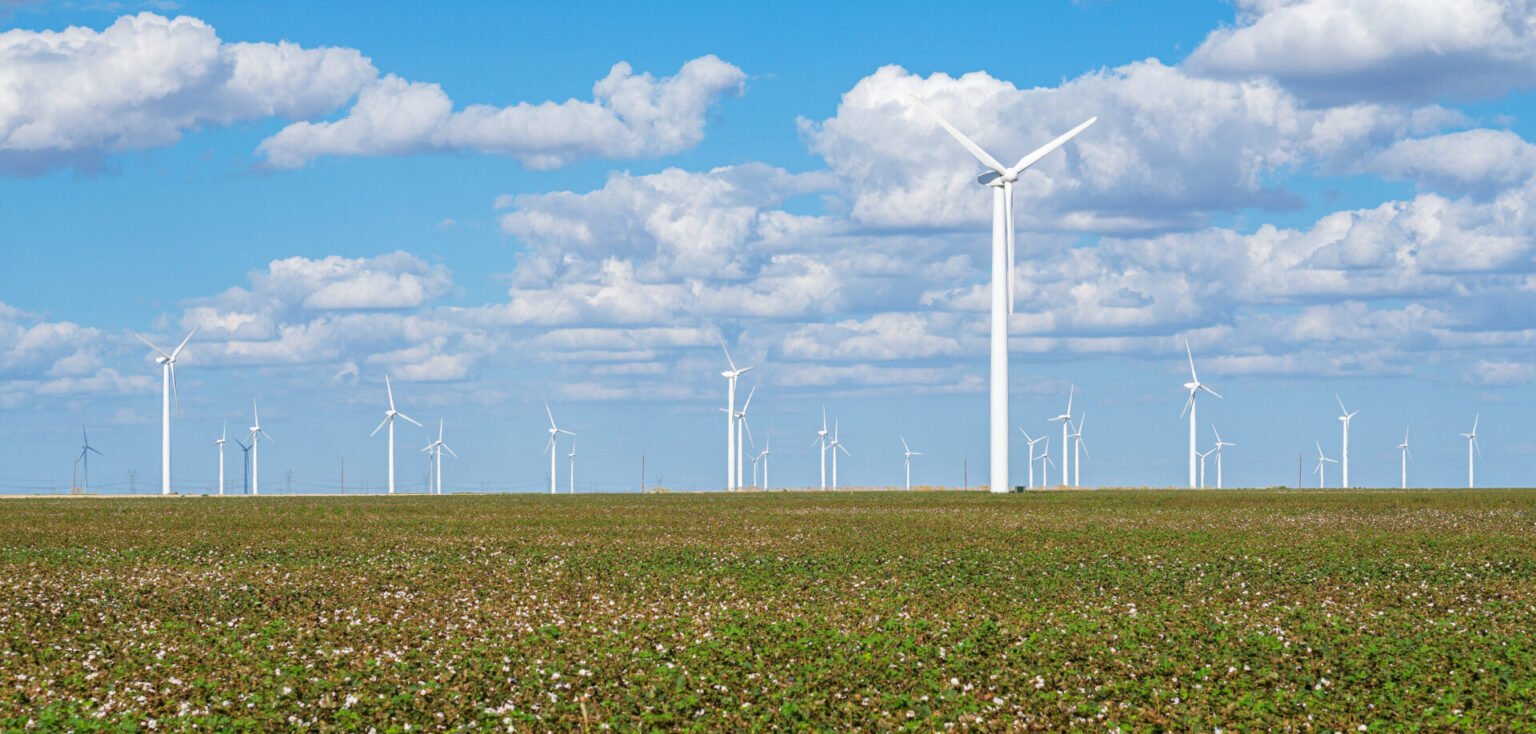 TXU Energy Review | Plans and Rates (2026)